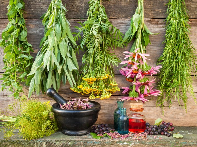 Herbal Healing In Massage Therapy | Healing Hands School of Holistic Health