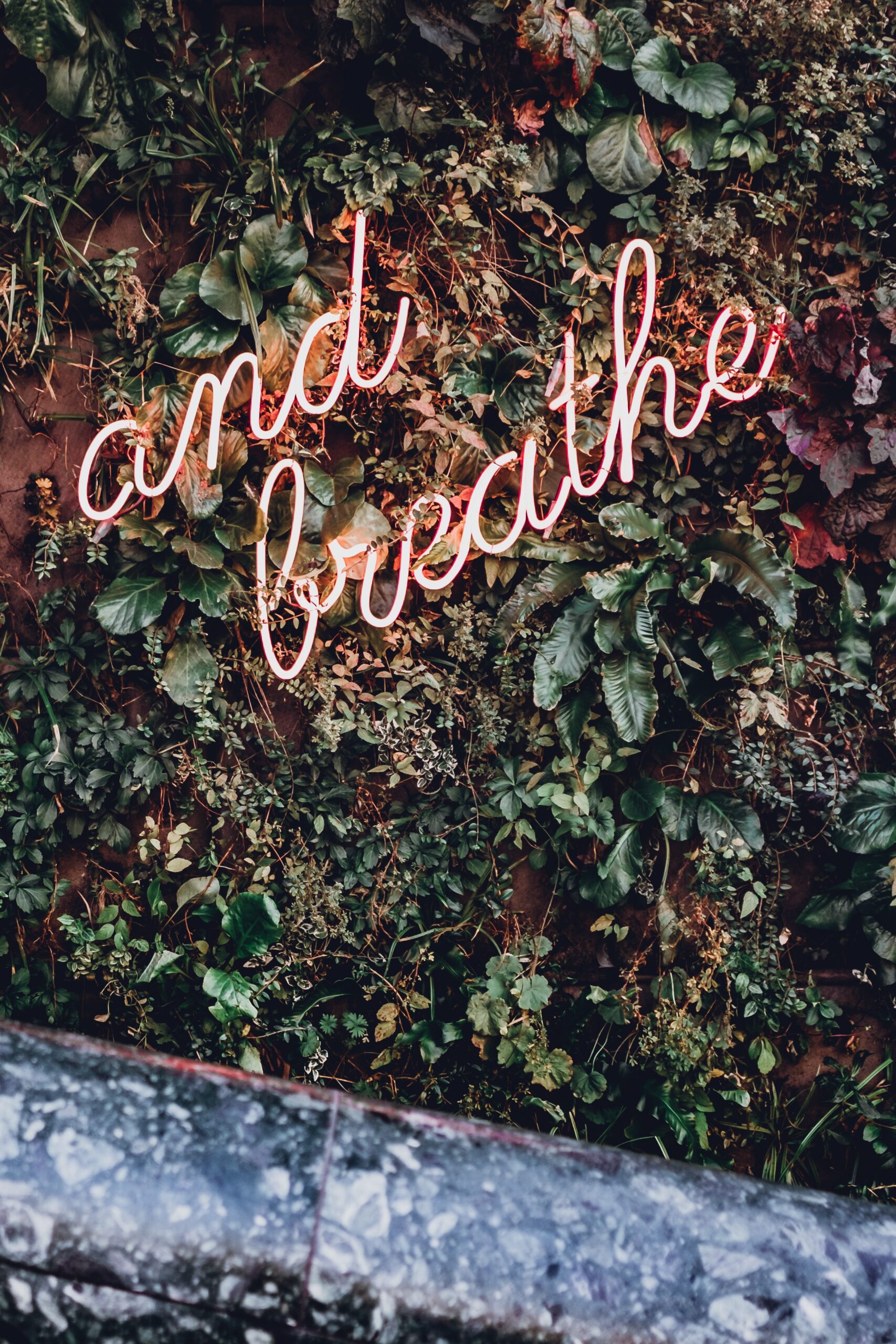 Energetic Bodywork: Healing Your Body, Healing Your Mind | Healing ...